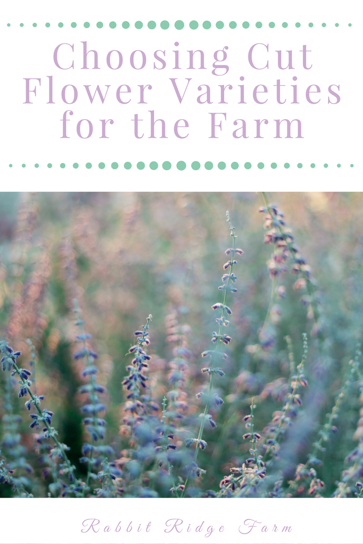 Selecting Cut Flower Varieties for the Farm