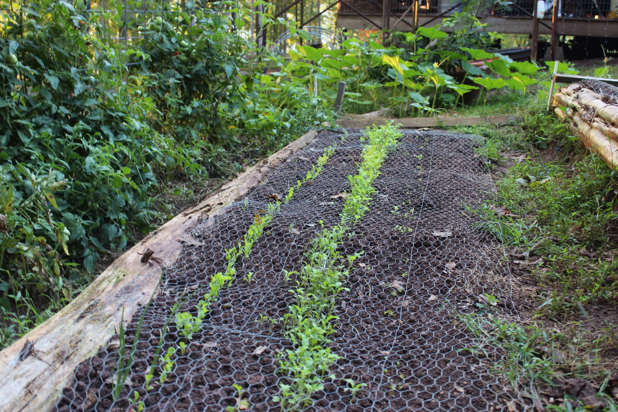 Terraced Garden Beds in 8 Simple Steps